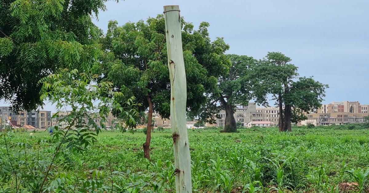 5 ac Land at Vipingo | BuyRentKenya