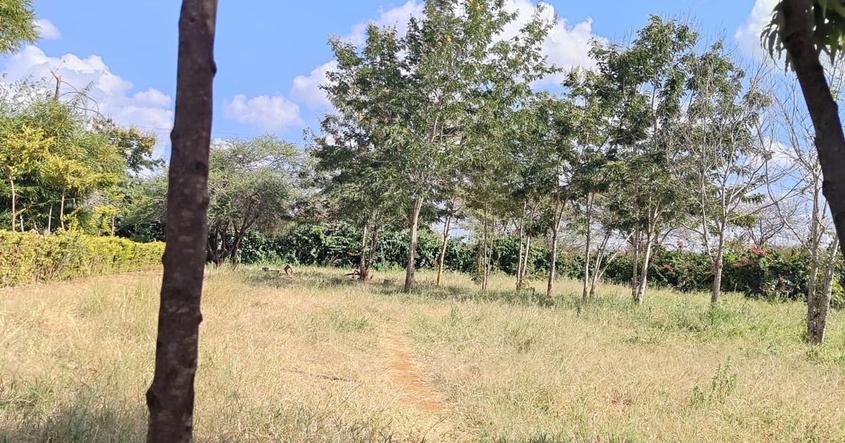 Land in Bisil for KSh 1,400,000,000 | BuyRentKenya
