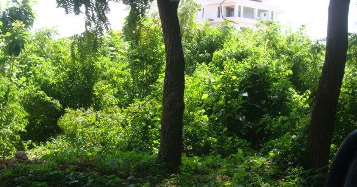 2,023 m² Residential Land in Shanzu