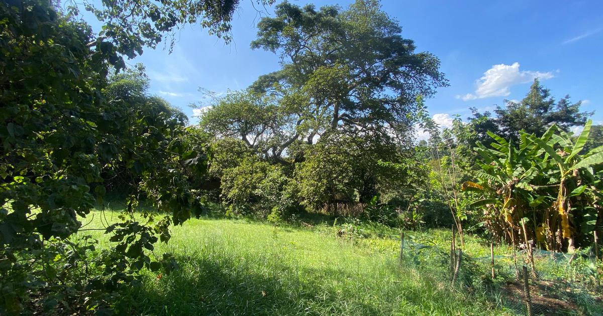 1.25 ac Residential Land in Kyuna | BuyRentKenya