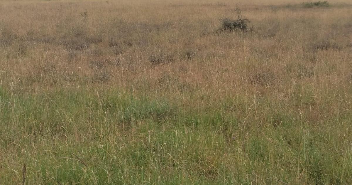 Land in Katani | BuyRentKenya