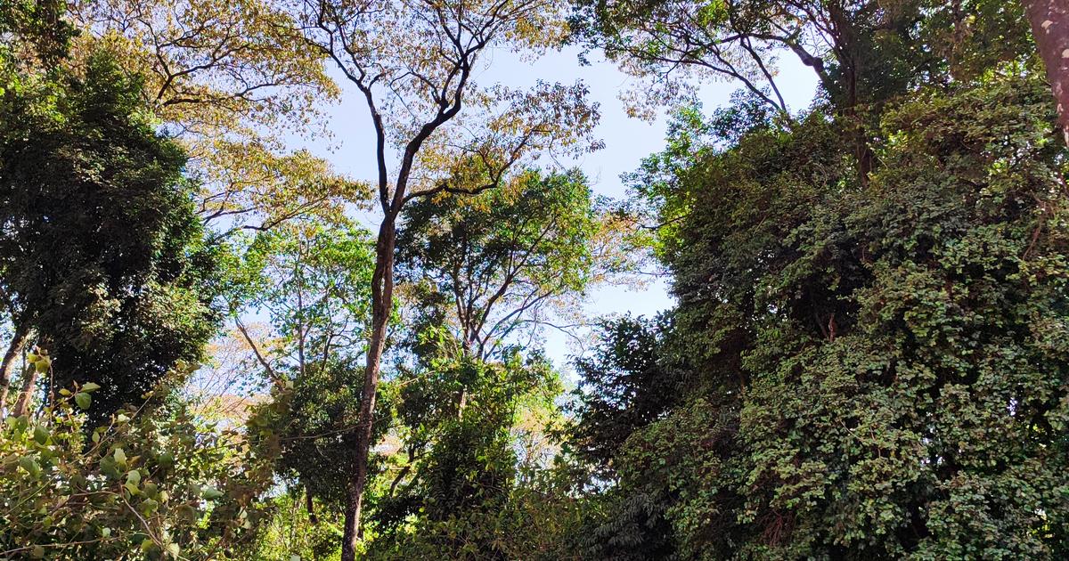0.5 ac Land at Hardy | BuyRentKenya