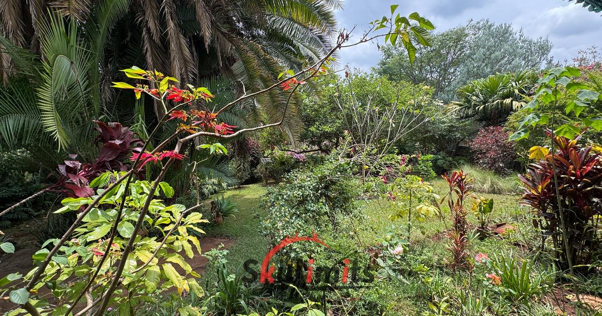 3 Bed House with Garden at Lavington | BuyRentKenya