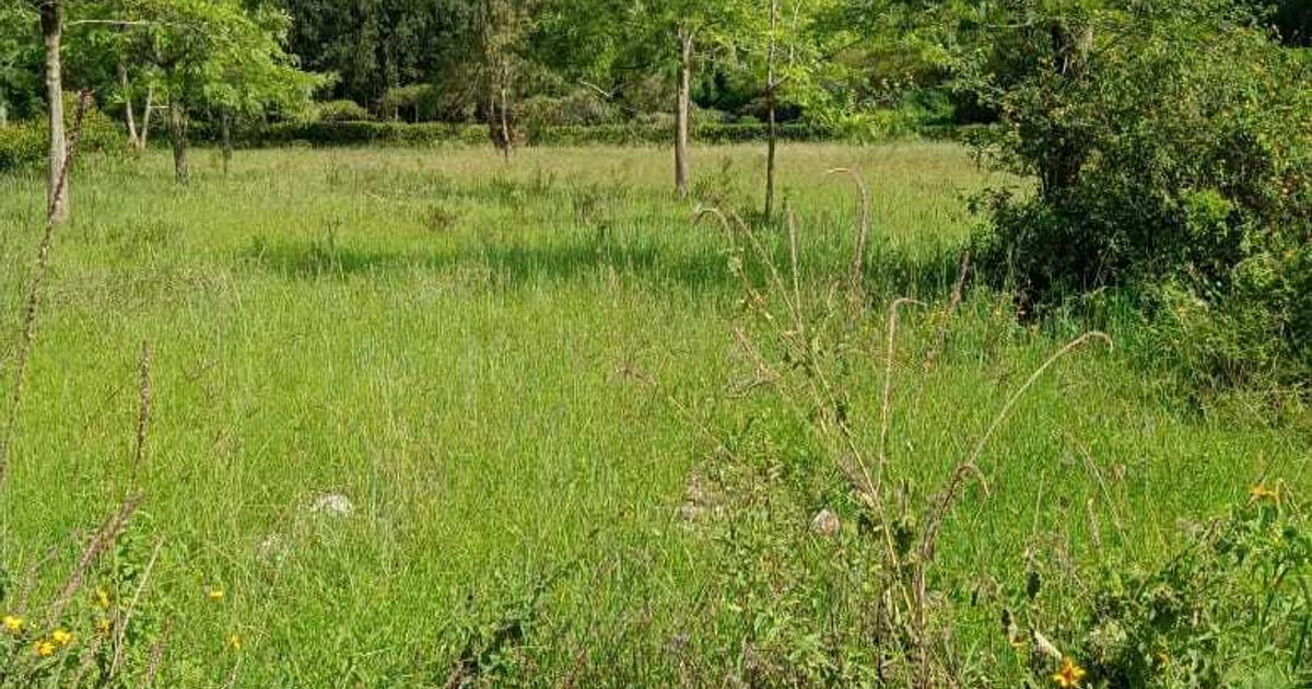 5 ac Land at Karen | BuyRentKenya