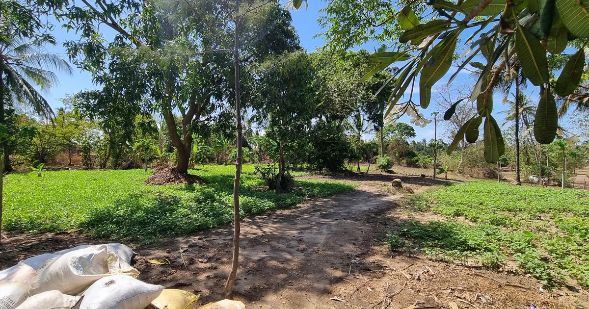 3 ac Land at Mtwapa | BuyRentKenya