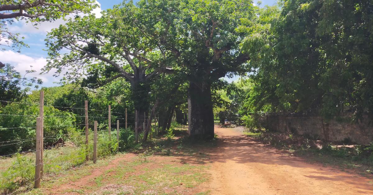 Land in Bofa | BuyRentKenya