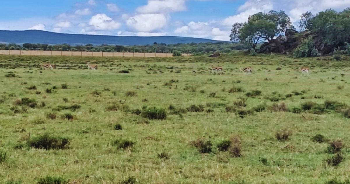 1 ac Land at Moi South Lake Road | BuyRentKenya