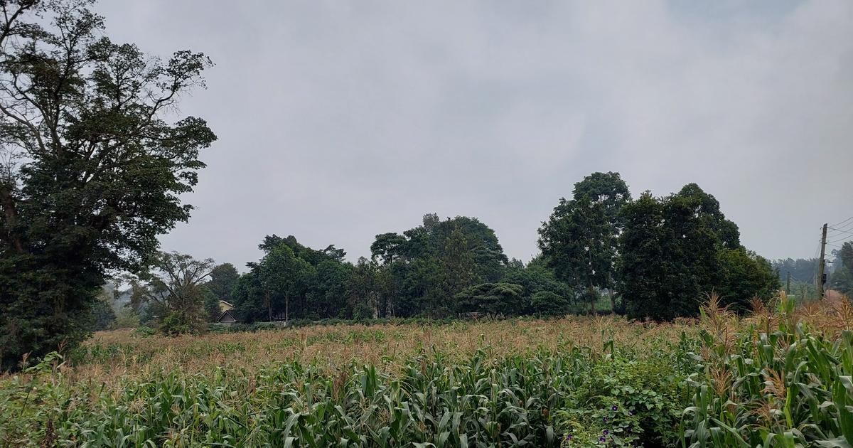 Residential Land at Kinanda Road | BuyRentKenya