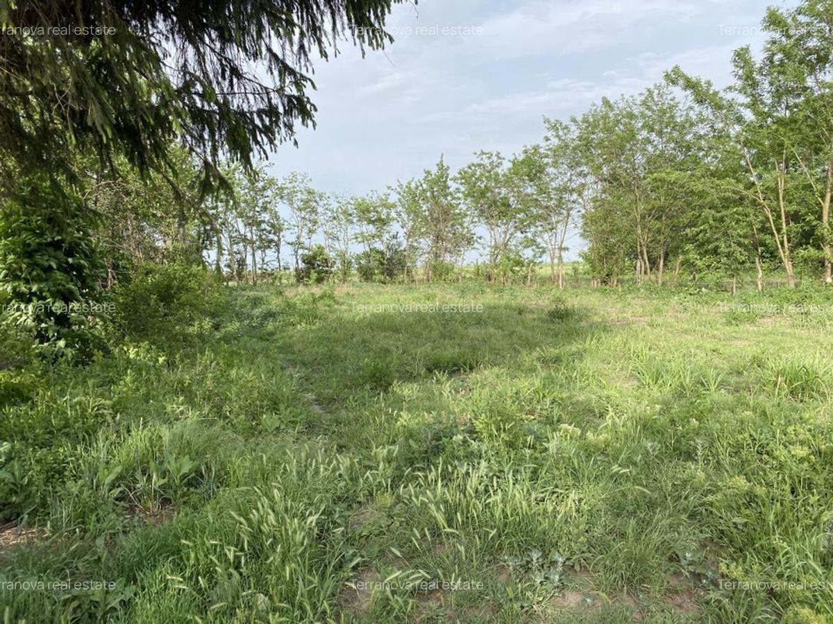 Vanzare Casa si teren Gradistea - Boldesti, Prahova | Imobiliare.ro