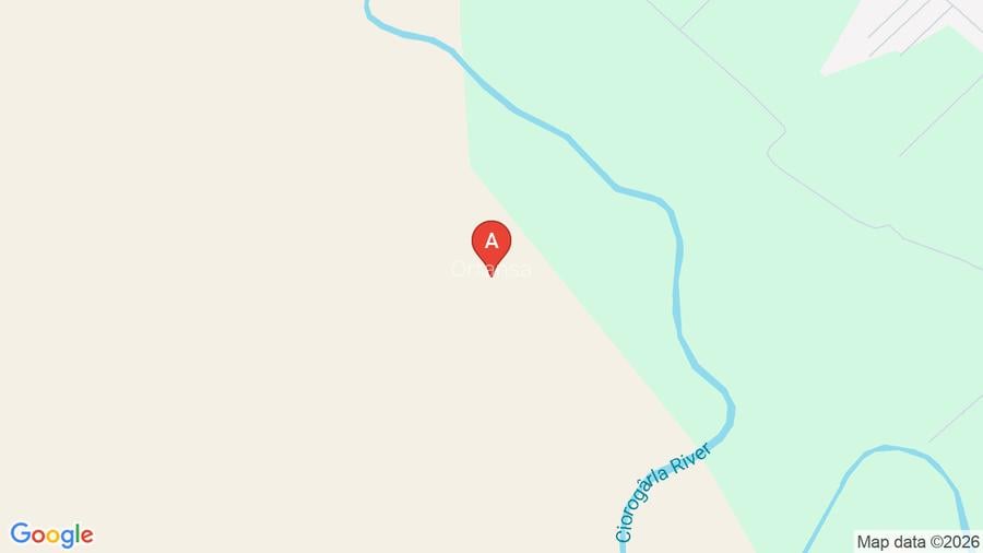 Teren agricol extravilan de 10000 mp, în Joița preț 220.000 ...