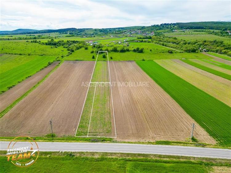 Teren Construcții intravilan de 10000 mp, în zona Exterior Sud, Sfântu ...