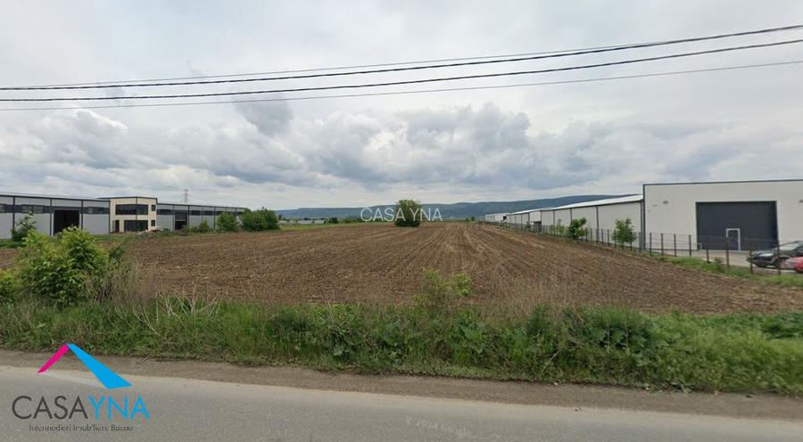 Teren Construcții intravilan de 14000 mp, în Letea Veche preț 560.000 ...