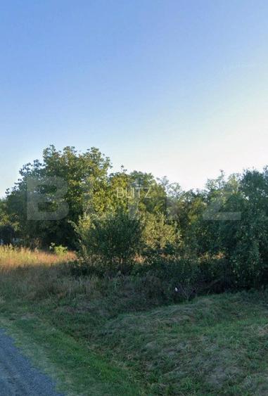 Teren Construcții intravilan de 3994 mp, în Șimnicu de Sus preț 51.922 ...