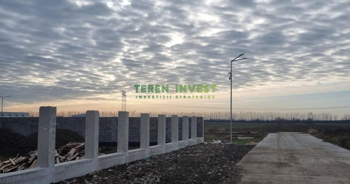 Frumusani - 600 mp intravilan cu utilitati - Direct proprietar ...