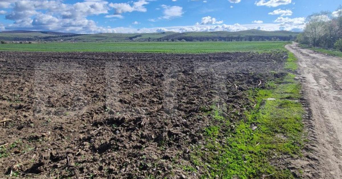 Terenuri agricole de vânzare în România