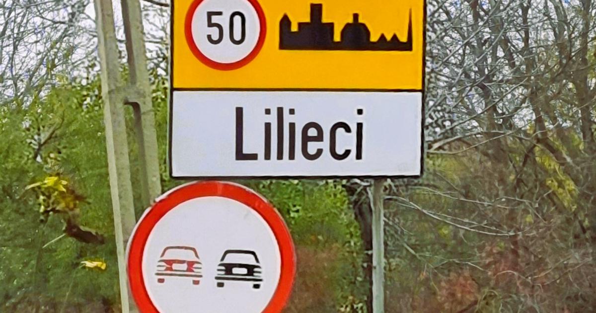 Teren Construcții intravilan de 682 mp, în Lilieci preț 17.000 ...
