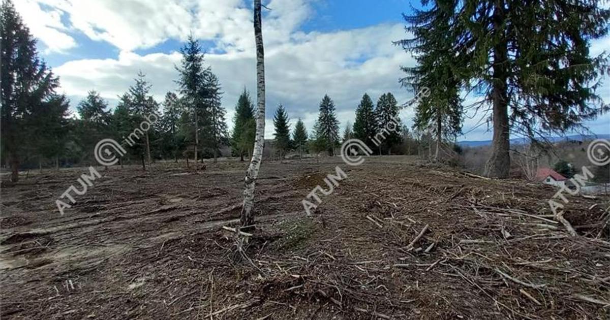 Teren intravilan 2000 mp de vanzare pe Valea Avrigului loc Avrig ...