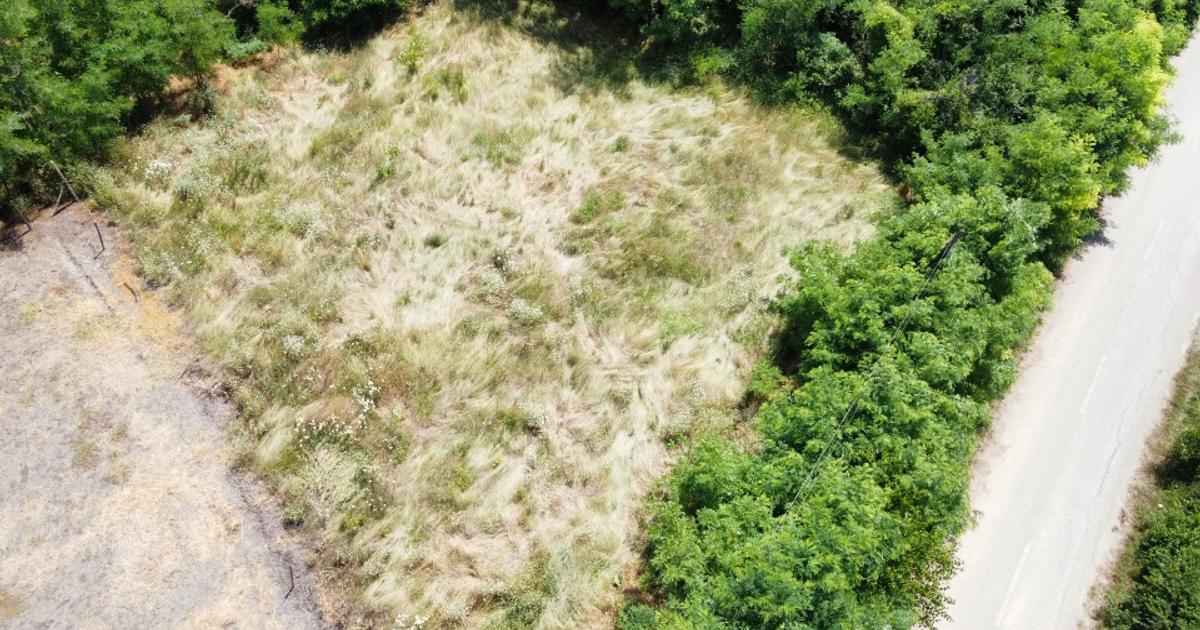 Teren intravilan in Com.Jugureni, Sat Boboci, Tarla 60, A 1251/3 ...