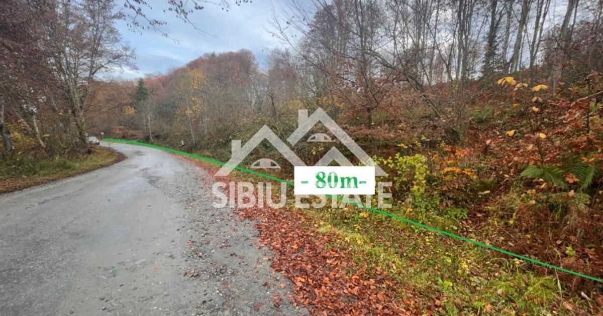 Teren Construcții intravilan de 3000 mp, în zona Sud, Avrig preț 165. ...