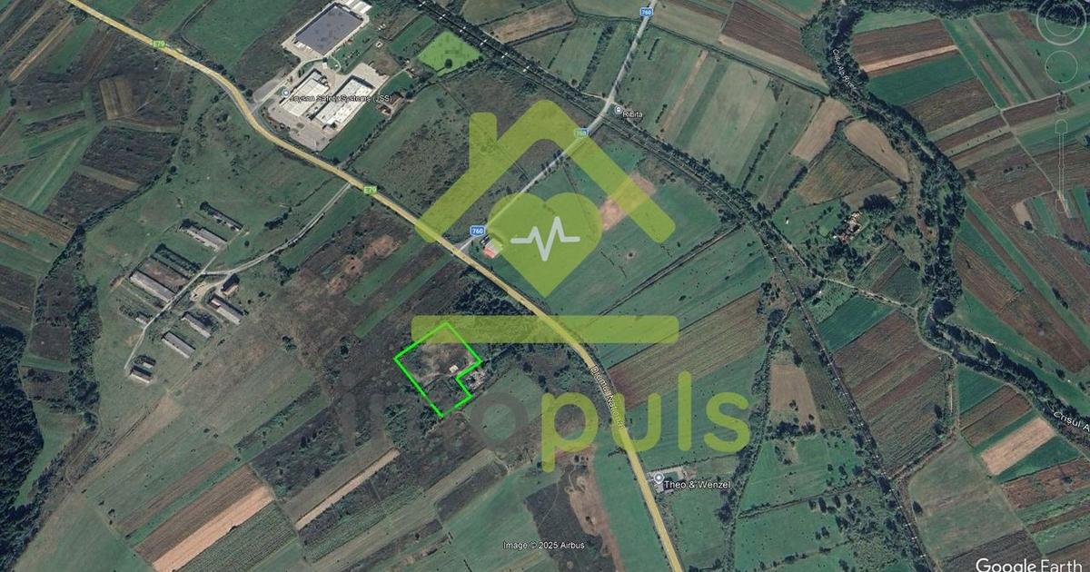 Teren Construcții intravilan de 10000 mp, în Mesteacăn (Brad) preț 50. ...