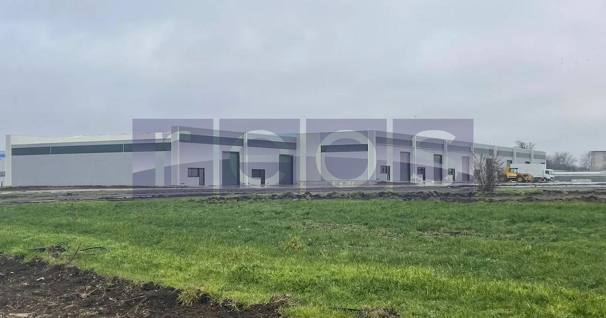 Spațiu industrial 735 mp în Mogoșoaia preț 668.115 € | Imobiliare.ro