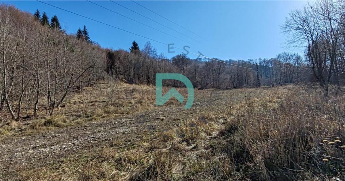 Teren Construcții intravilan de 5000 mp, în zona Babarunca, Săcele preț ...