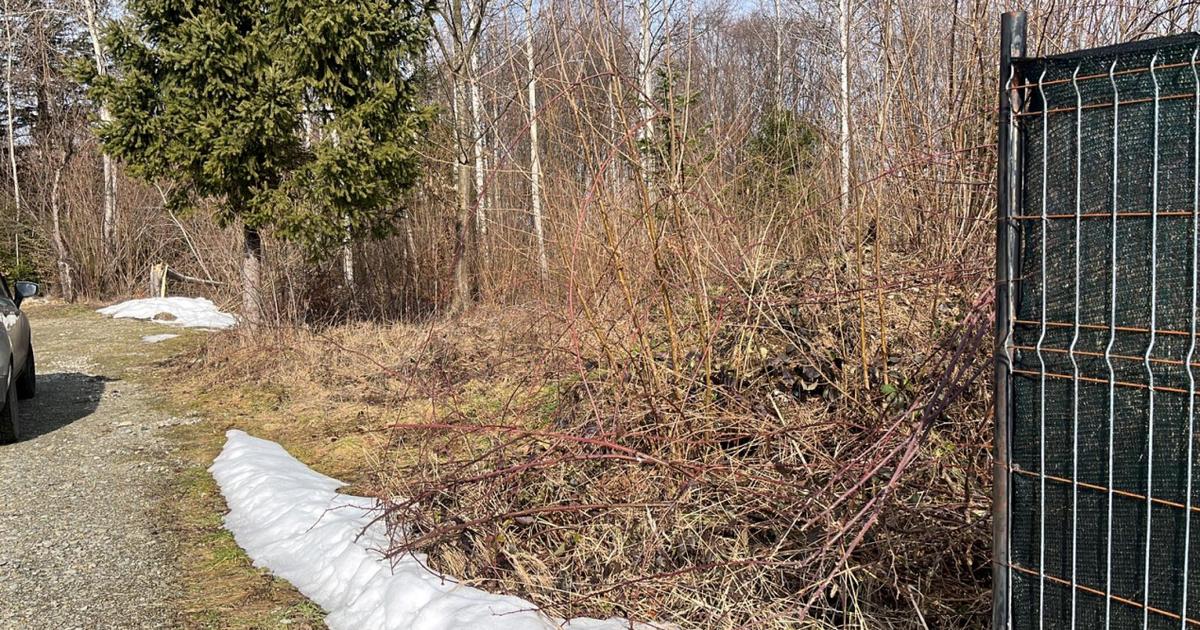 Terenuri de vânzare în Avrig, Județul Sibiu | Imobiliare.ro