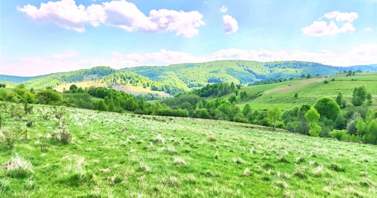 25.000 mp TEREN IDEAL AFACERE TURISM – AMENAJARE LAC DE PESCUIT, CIUCEA ...