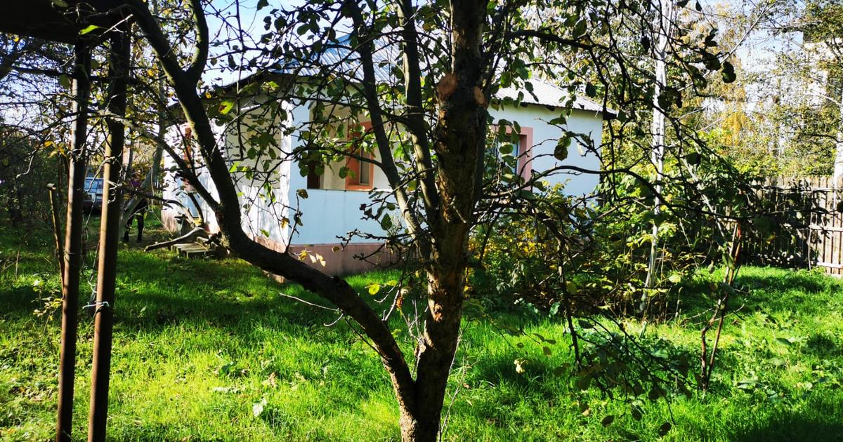 Casă individuală 45 mp cu 2 camere în Gruiu preț 120.000 € | Imobiliare.ro