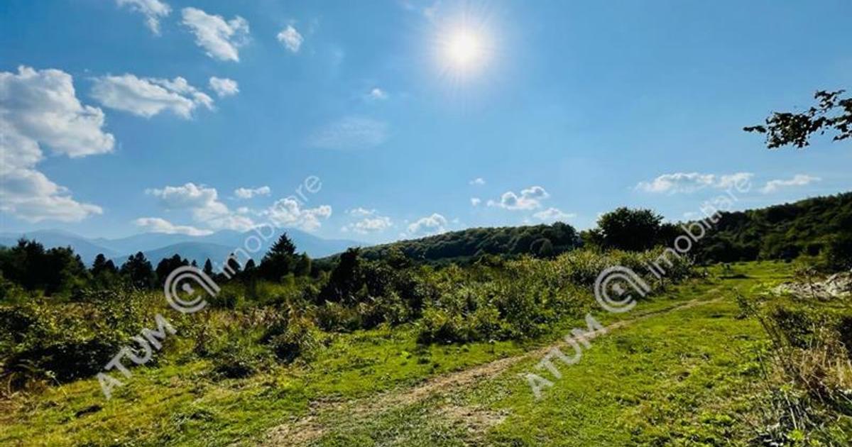 Teren 1000 mp Intravilan in Avrig zona turistica Valea Avrigului ...