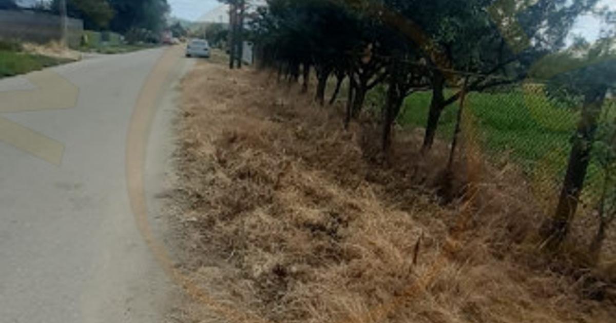 Teren Construcții intravilan de 2500 mp, în Golești (Ștefănești) preț ...