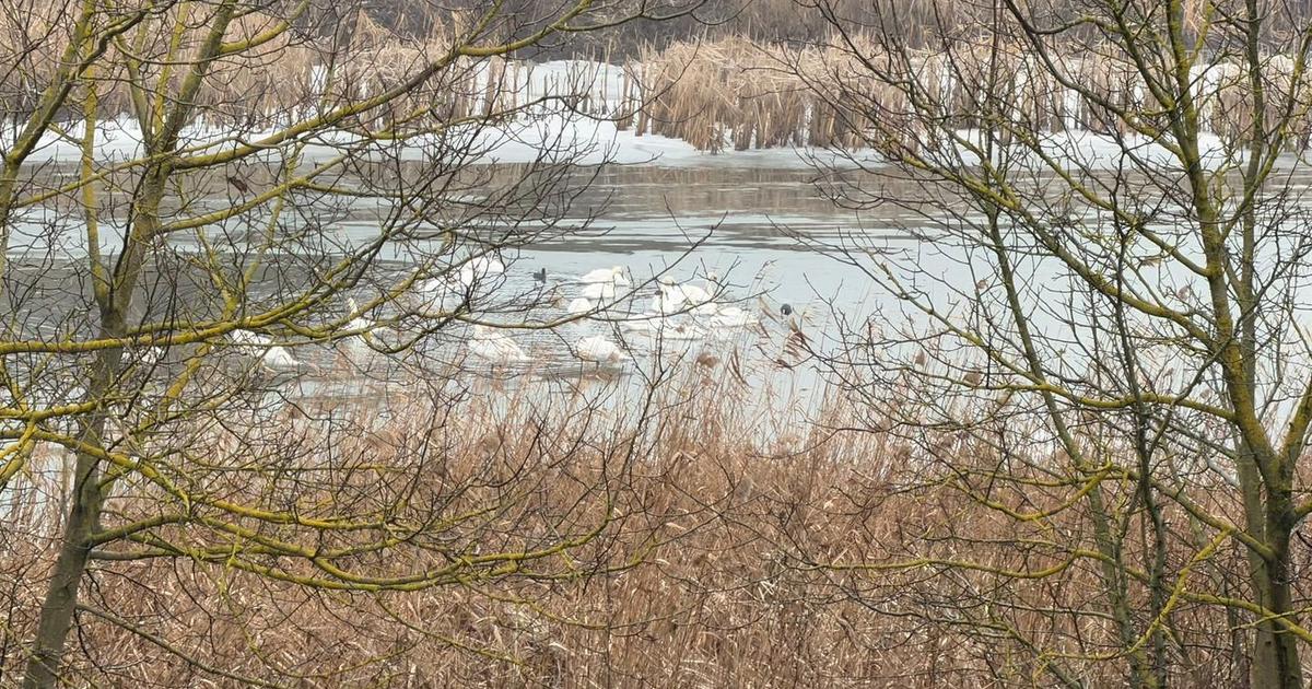 Teren Construcții intravilan de 1000 mp, în Moara Vlăsiei preț 134.000 ...