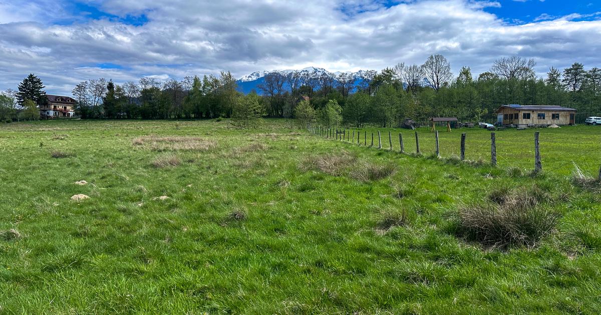 Teren intravilan de 900 mp, în Tohanu Nou preț 30.000 € | Imobiliare.ro