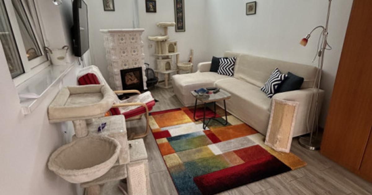 Vanzare casa zona Turda - Parcul Regina Maria | Imobiliare.ro