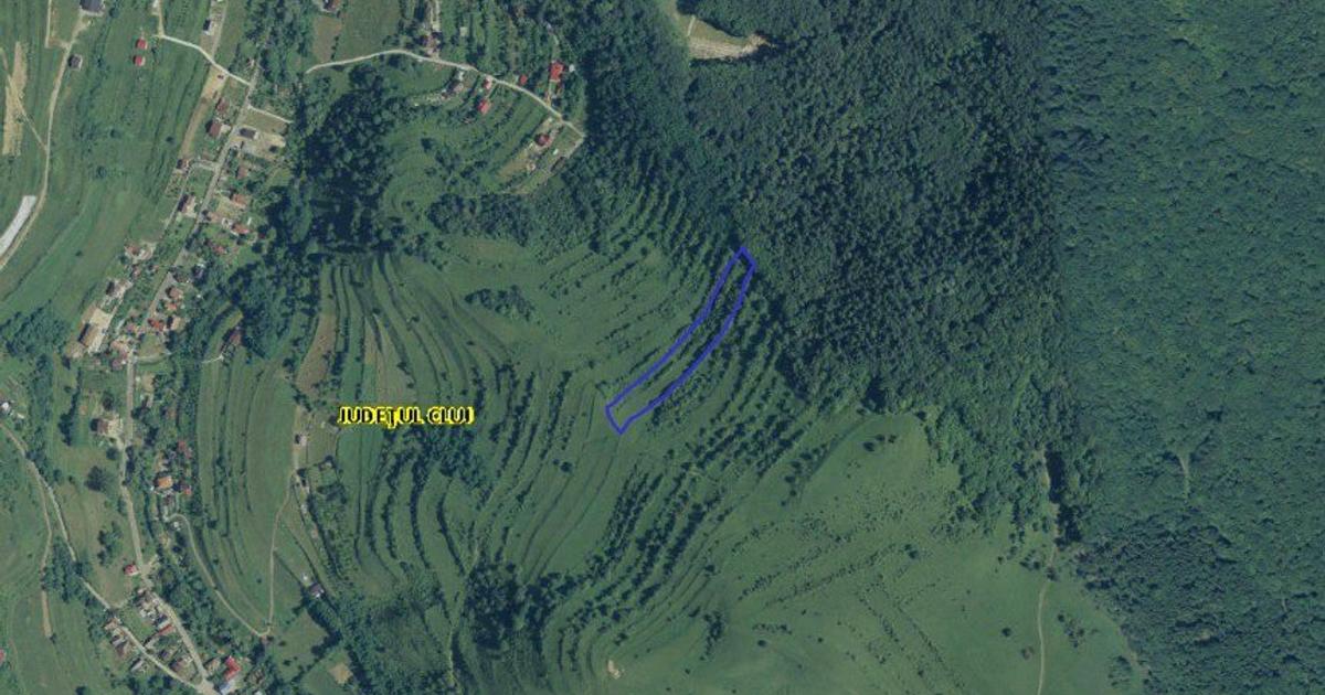 Teren agricol extravilan de 6432 mp, în Tăuți preț 29.000 € | Imobiliare.ro
