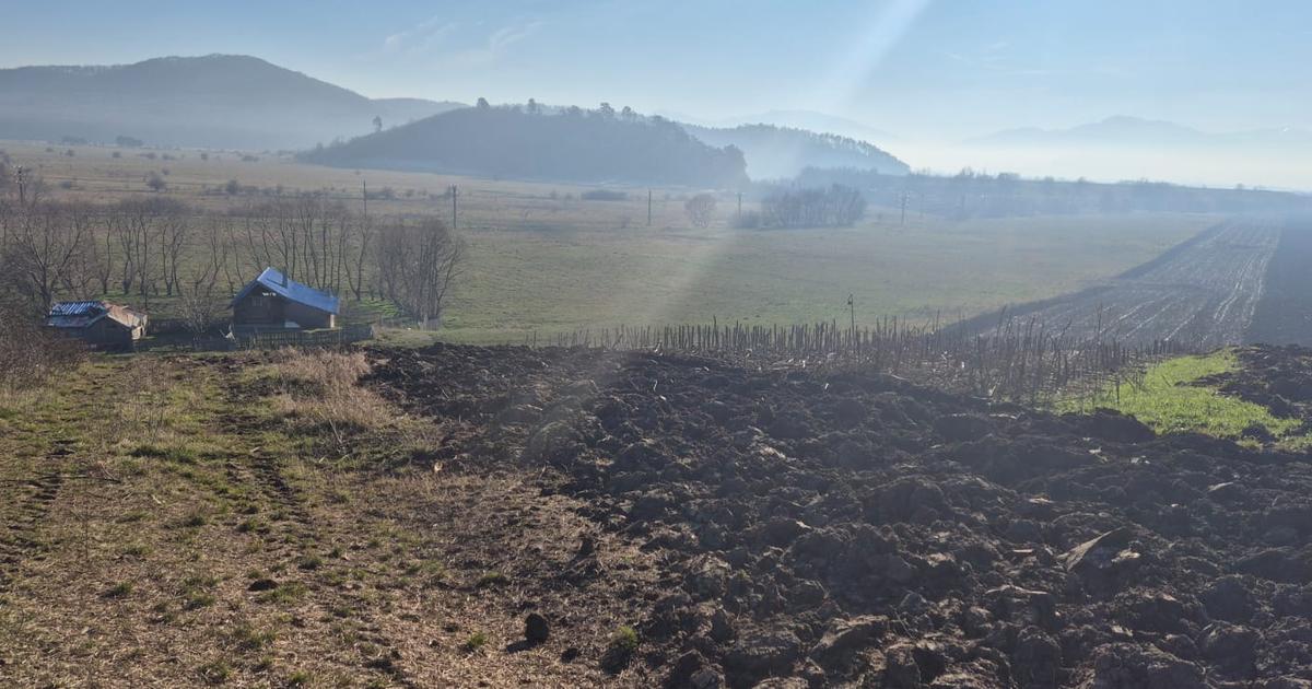 Teren agricol extravilan de 50000 mp, în Bod preț 250.000 € | Imobiliare.ro