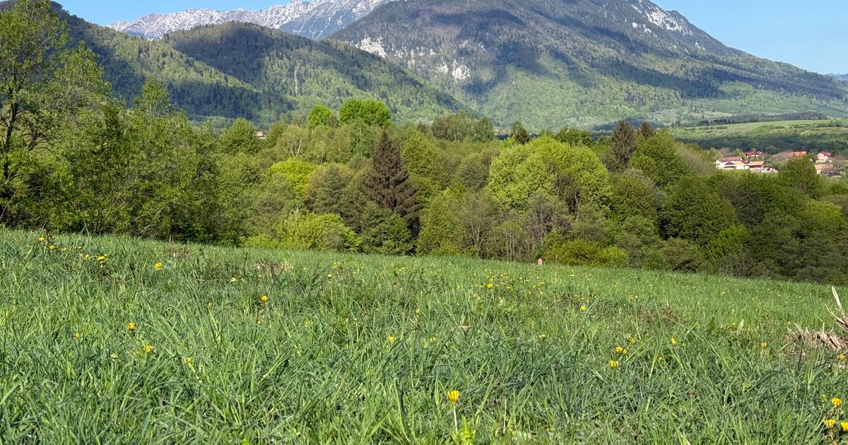 Teren intravilan intre 500 si 1000 mp cu vedere panoramica zona ...