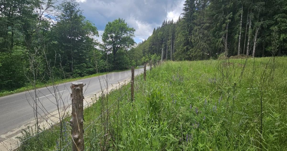 Teren agricol intravilan de 7546 mp, în Valea Doftanei preț 316.932 ...