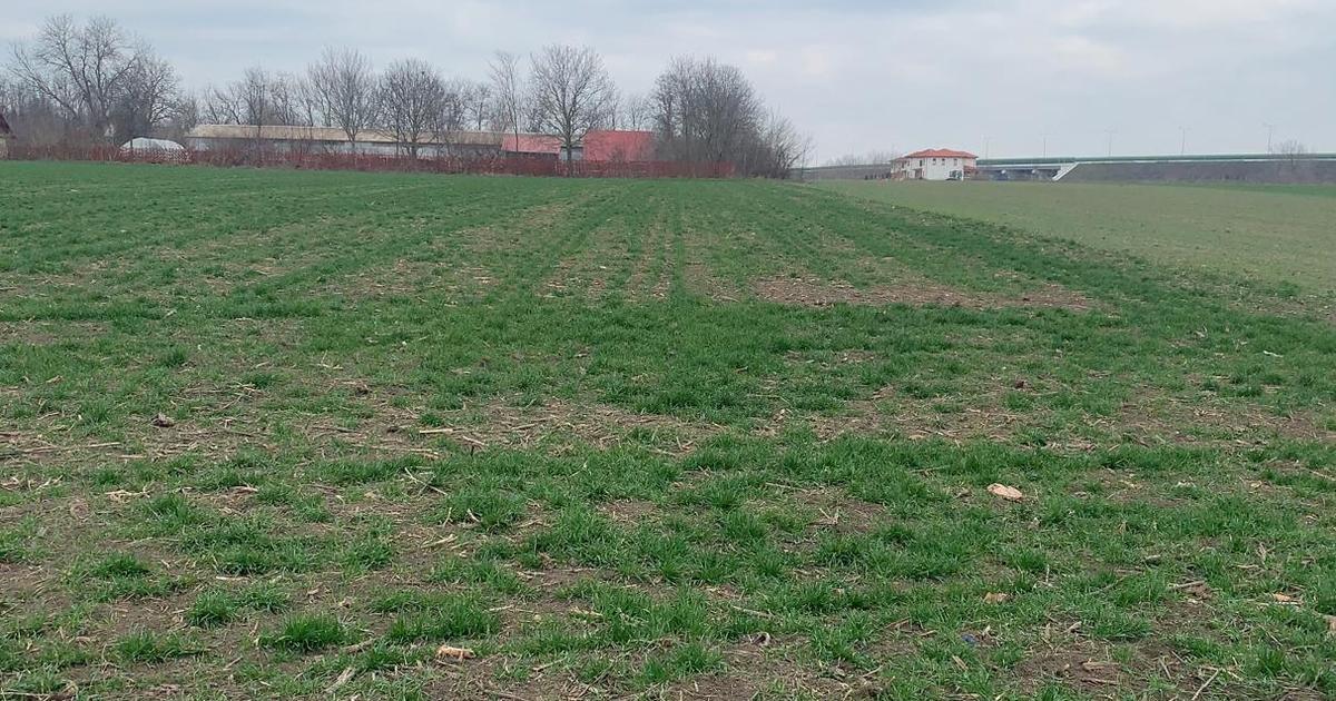 Teren Construcții extravilan de 17500 mp, în Afumați preț 612.500 ...