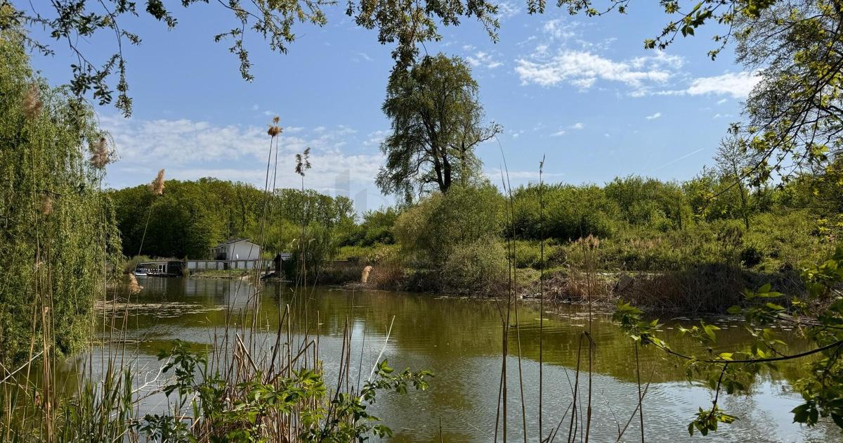 Teren agricol intravilan de 10000 mp, în Snagov preț 585.000 € + TVA ...