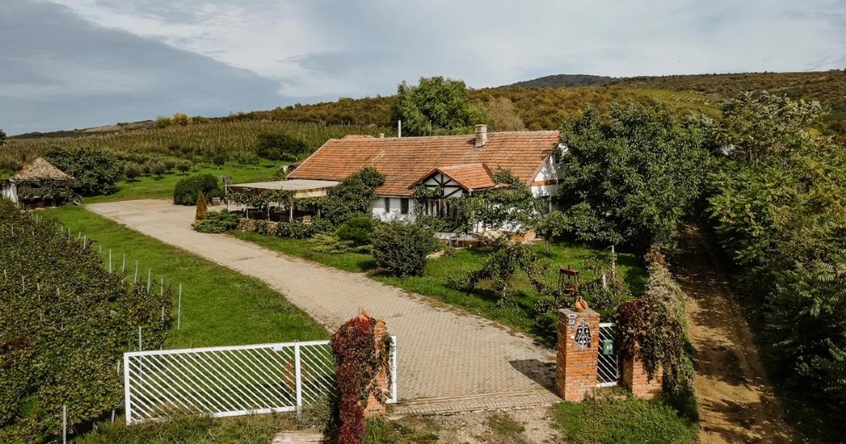 Proprietate specială 1000 mp în Ghioroc preț 795.000 € | Imobiliare.ro