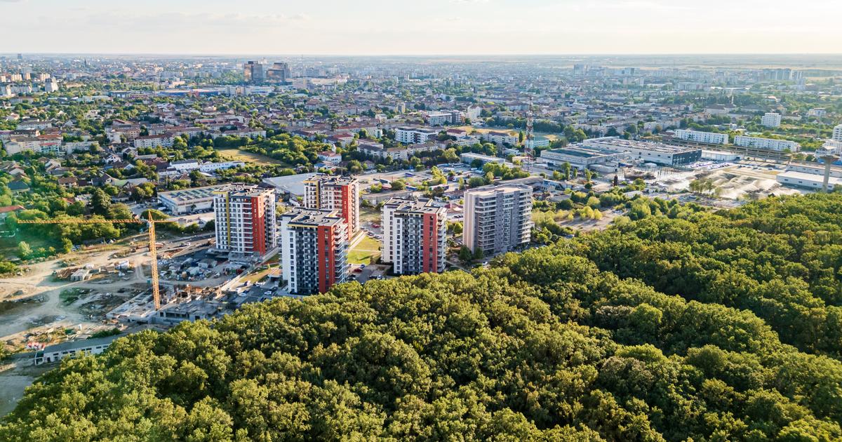 Denya Forest, Timișoara, Județul Timiș | Imobiliare.ro