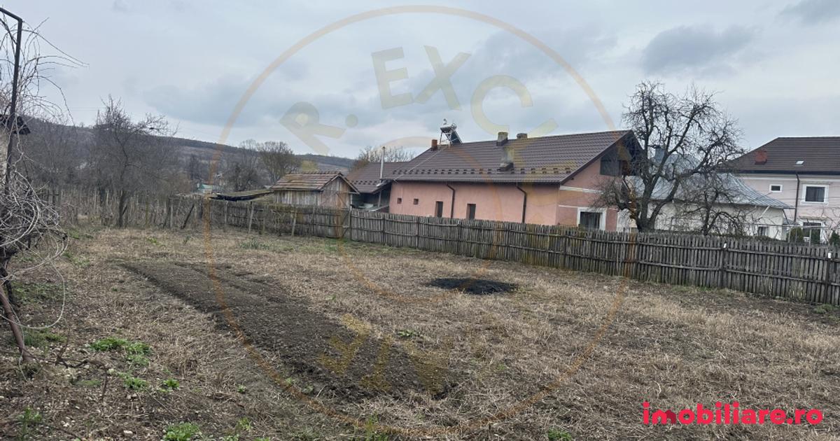 Teren intravilan 1 304 mp - Calinesti- Gorganu-Arges! | Imobiliare.ro