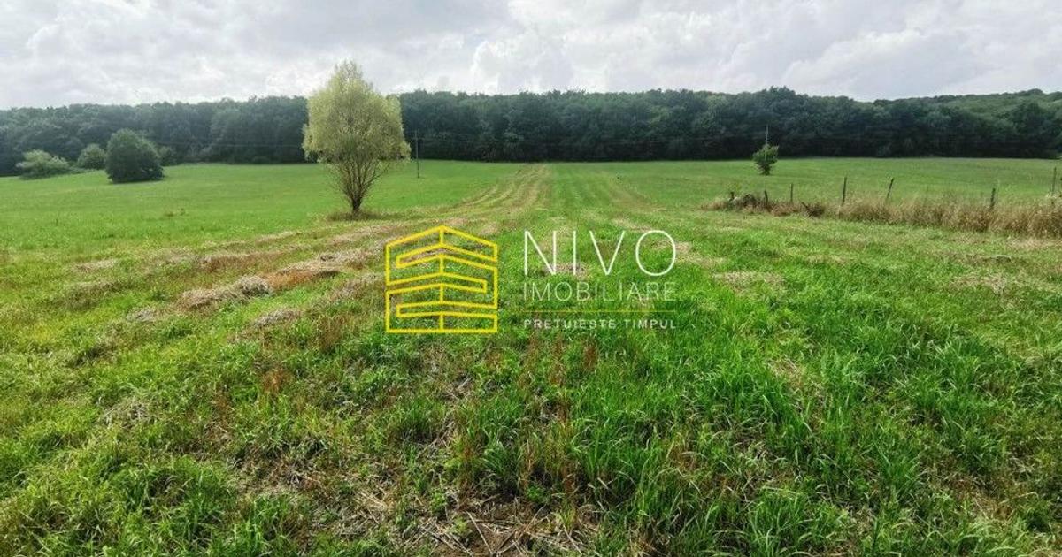 Teren Construcții intravilan de 5800 mp, în Budiu Mic preț 170.000 ...