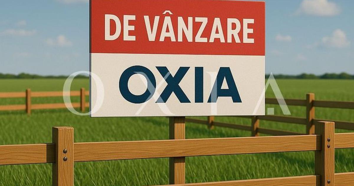 Teren Construcții intravilan de 4046 mp, în Beregsău Mic preț 81.000 ...