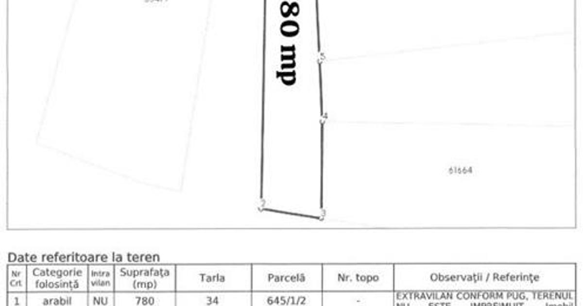 Letea Veche- Holt- teren 780 mp | Imobiliare.ro