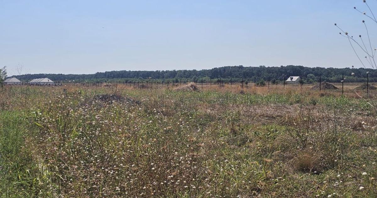 Teren Construcții intravilan de 504 mp, în Tamași preț 39.900 € + TVA ...