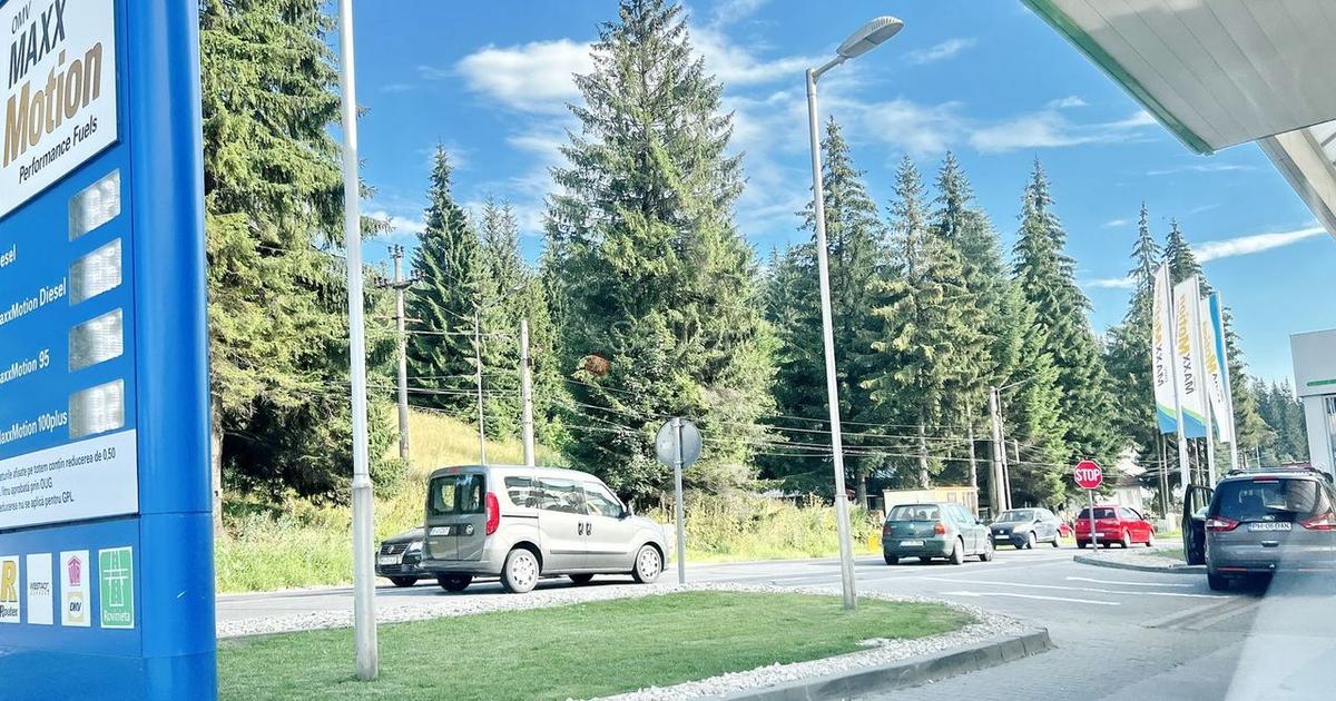 Teren Intravilan Predeal - Acces direct DN - Priveliste deosebita ...