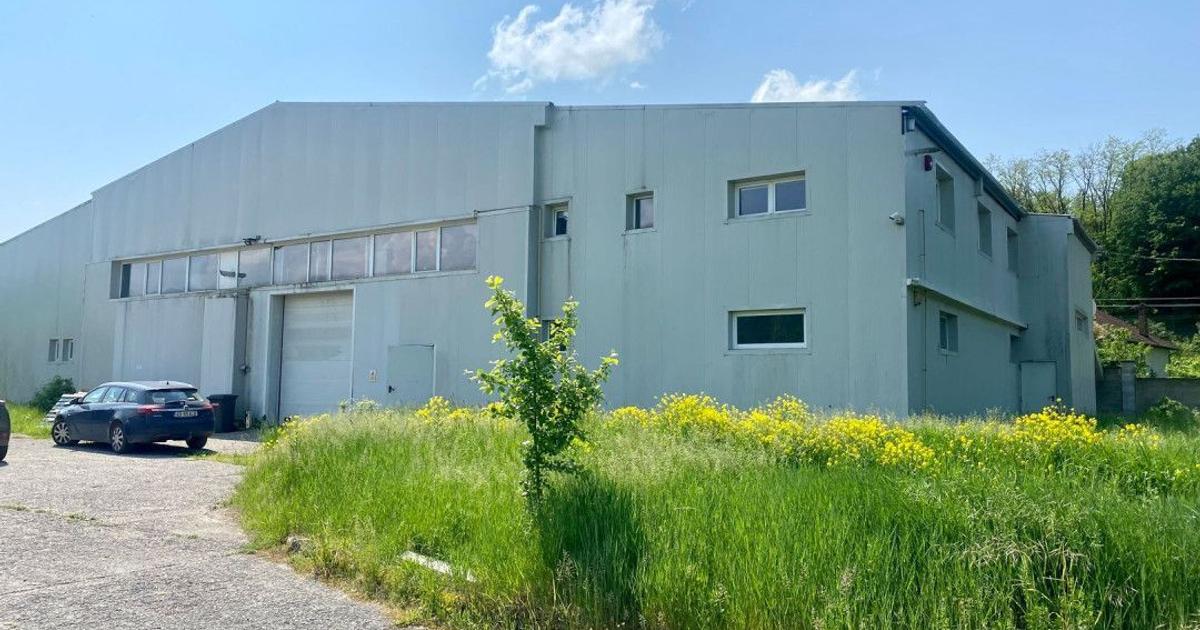 Hala De Inchiriat In Mun Brad Disponibila Imediat Imobiliarero