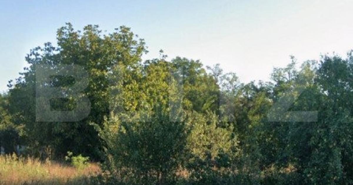 Teren Construcții intravilan de 3994 mp, în Șimnicu de Sus preț 51.922 ...